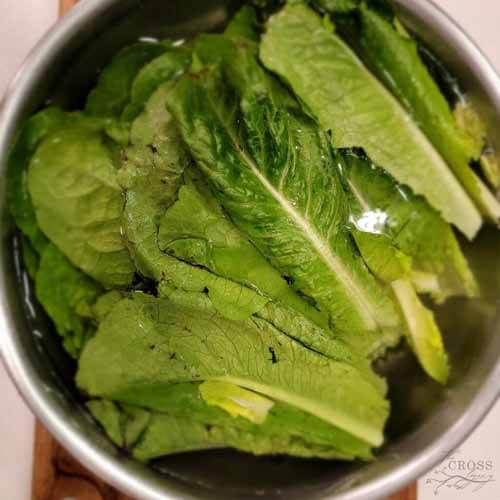 How to Keep Lettuce Fresh for Weeks