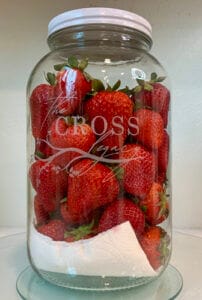 Strawberries in a Jar - How to Keep Strawberries Fresh